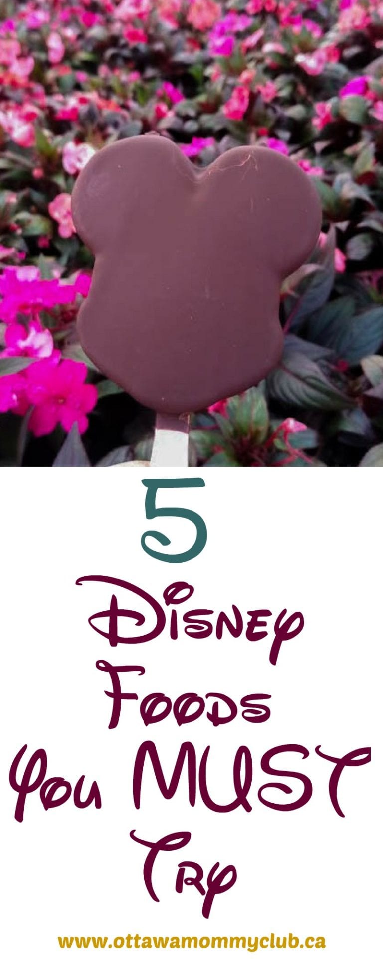 5 Disney Foods You MUST Try | Ottawa Mommy Club