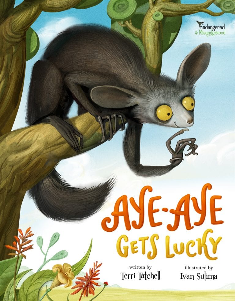 Seeing Beyond the Surface with Aye-Aye Gets Lucky - Review