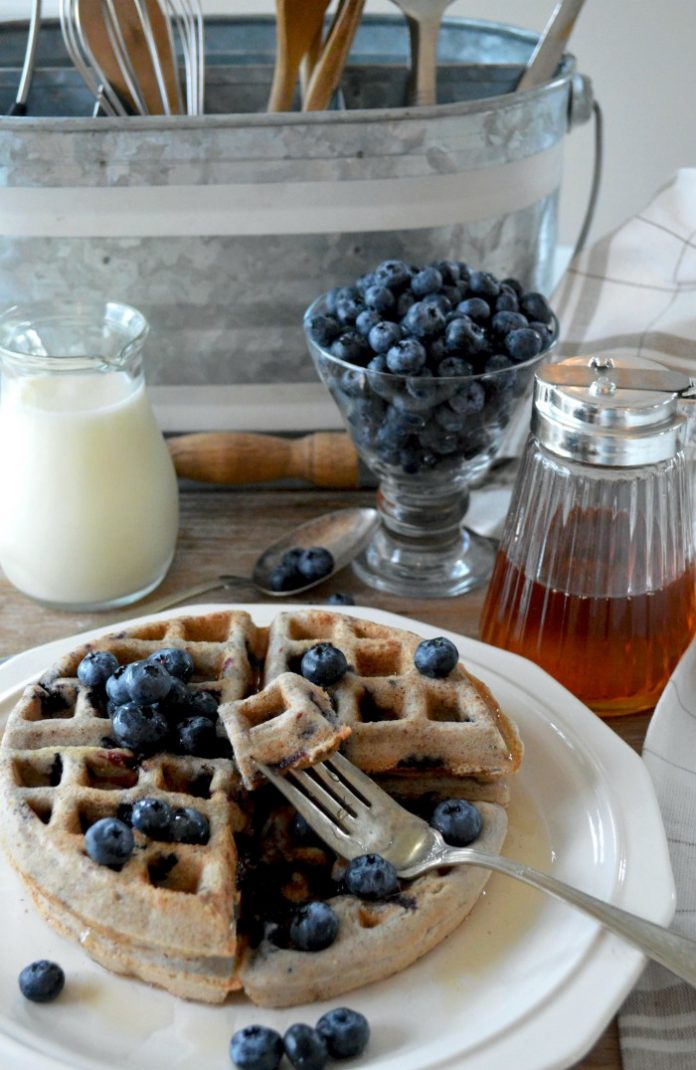 Health Benefits Of Eating Blueberries | Ottawa Mommy Club
