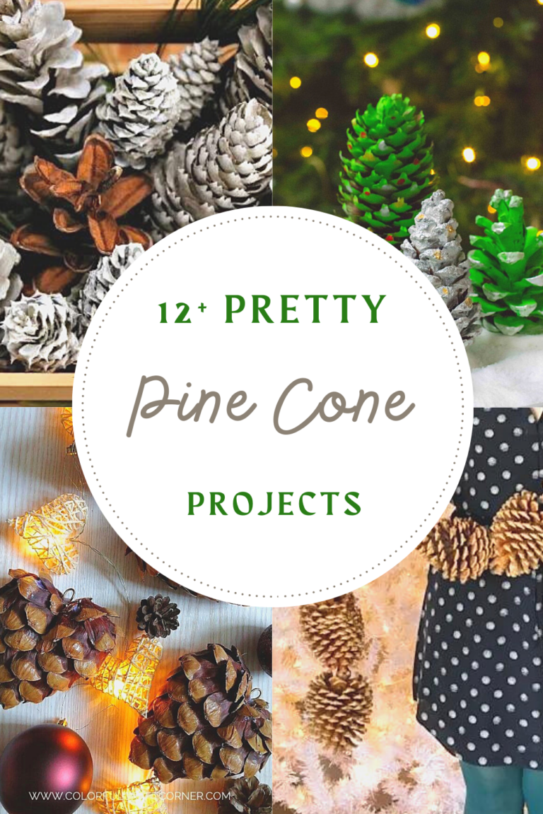 12 Pretty Pine Cone Projects | Ottawa Mommy Club